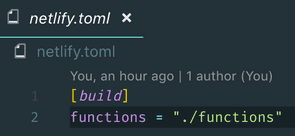 JavaScript Netlify Functions | The Junior Dev Struggle Blog